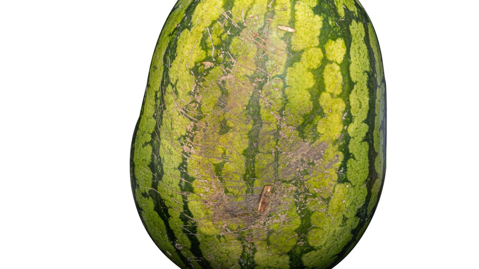 How To Tell If A Watermelon Is Ripe And Ready To Eat