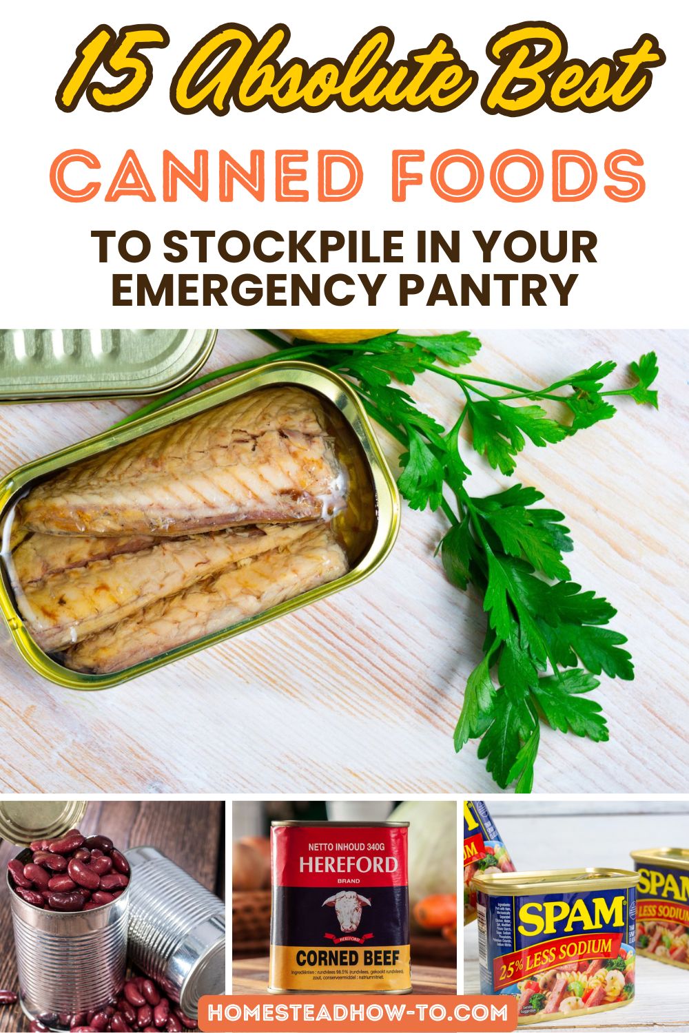 15 Absolute Best Canned Foods To Stockpile In Your Emergency Pantry