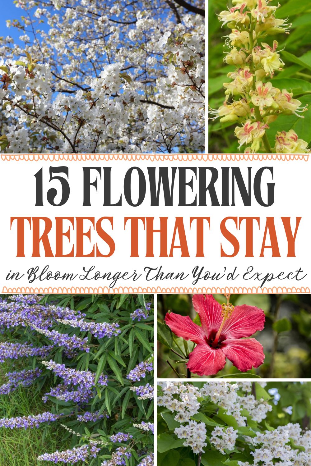 15 Flowering Trees That Stay In Bloom Longer Than You’d Expect