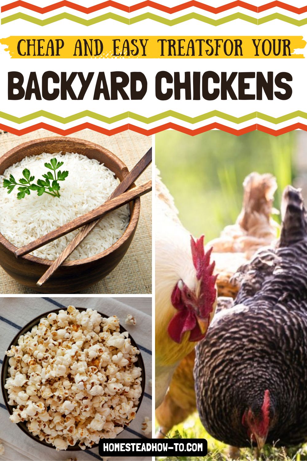 Cheap And Easy Treats For Your Backyard Chickens