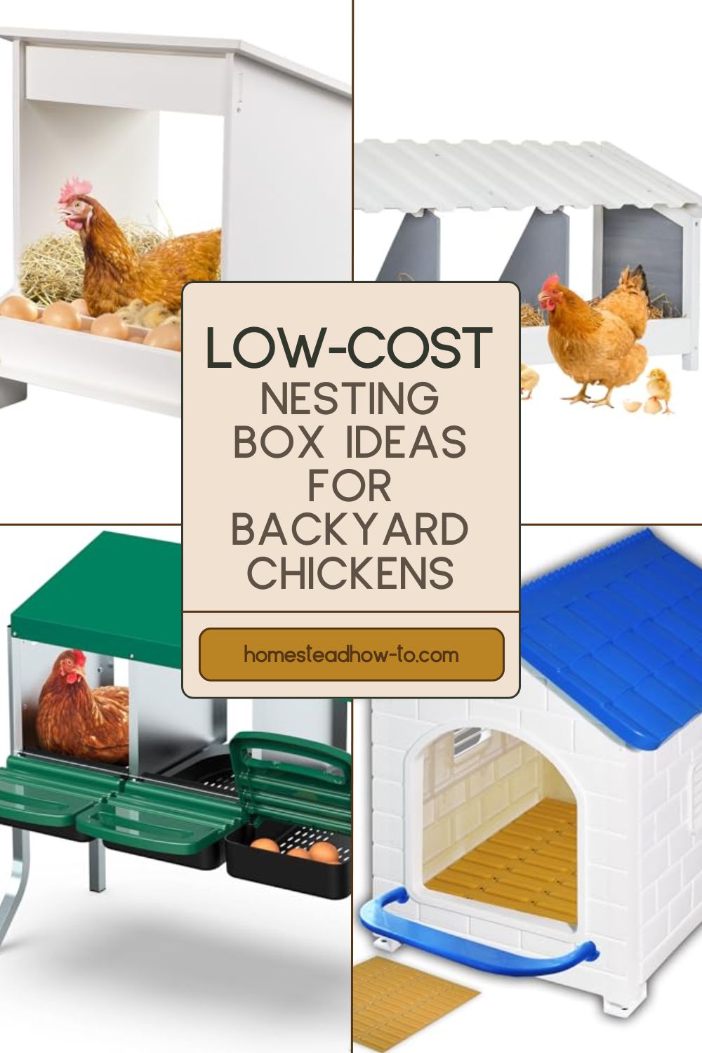 Low-Cost Nesting Box Ideas For Backyard Chickens