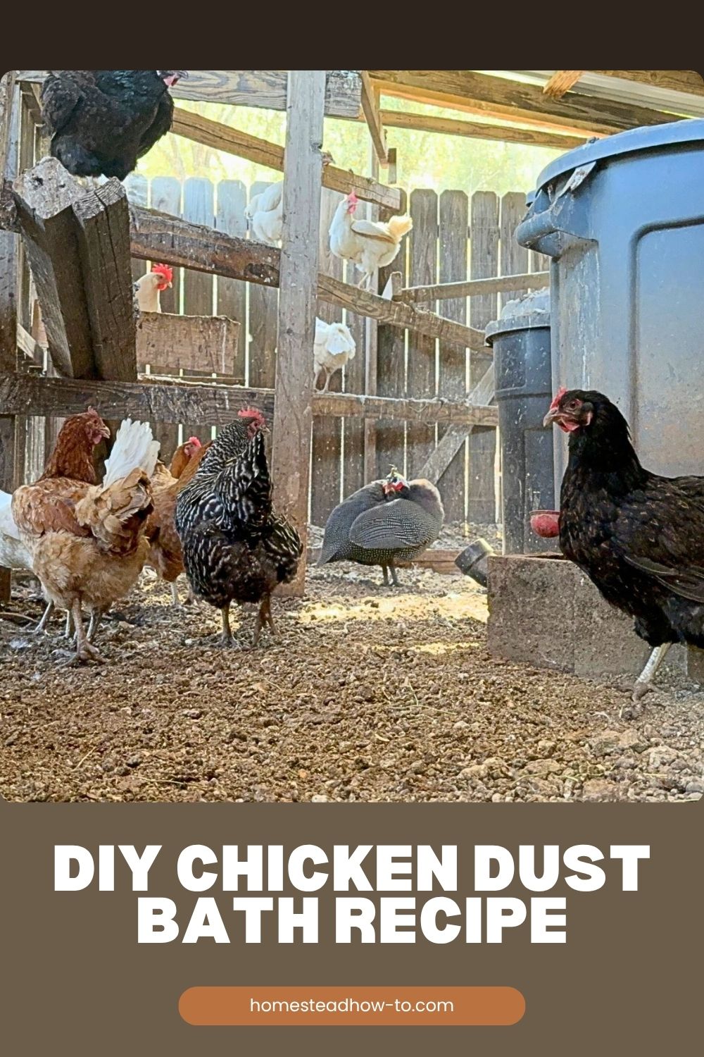 How To Make A Chicken Dust Bath