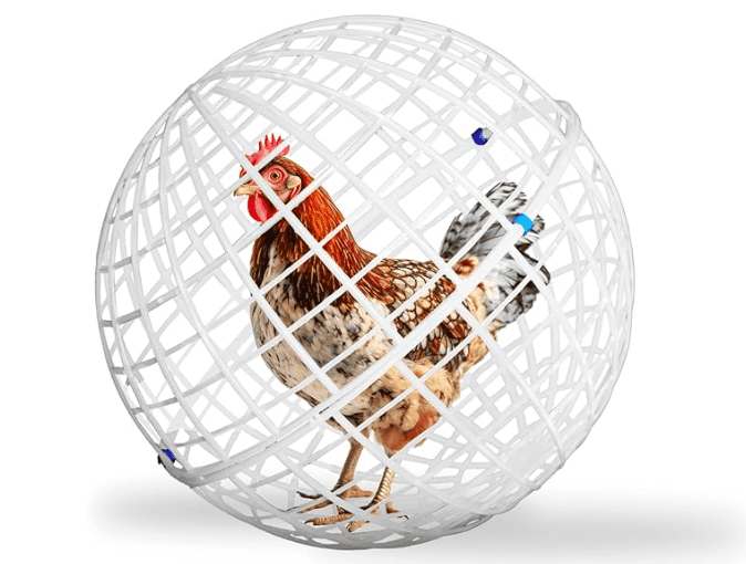 Homemade Fruit Fly Trap With Apple Cider Vinegar