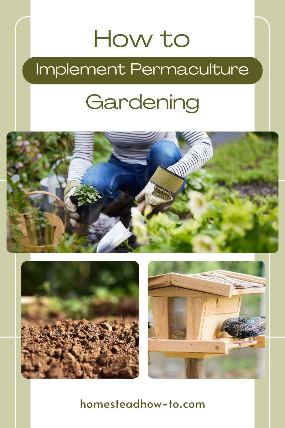 How To Implement Permaculture Gardening