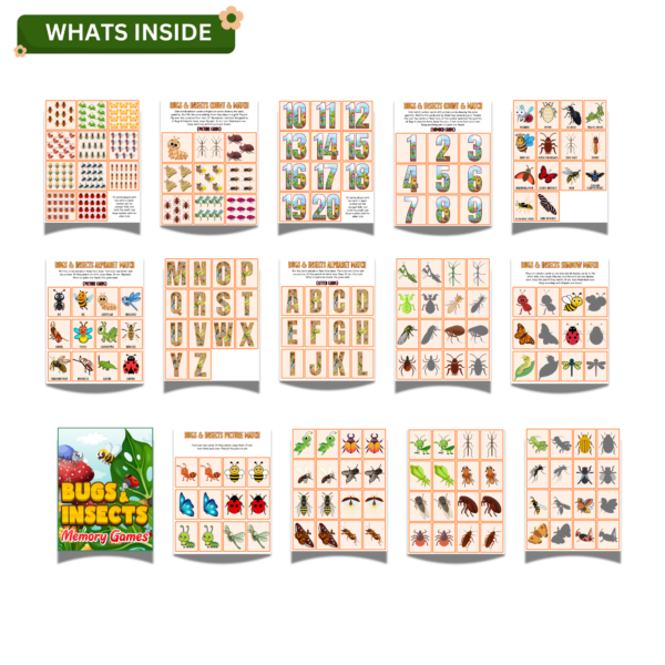 Bugs And Insects Memory Game Printable – Preschool Matching Activities ...